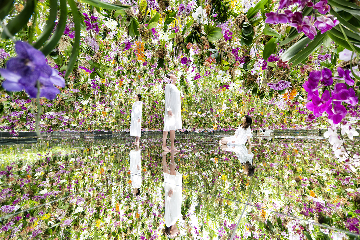 teamLab Planets in Tokyo Unveils Two New Immersive Living Garden ...