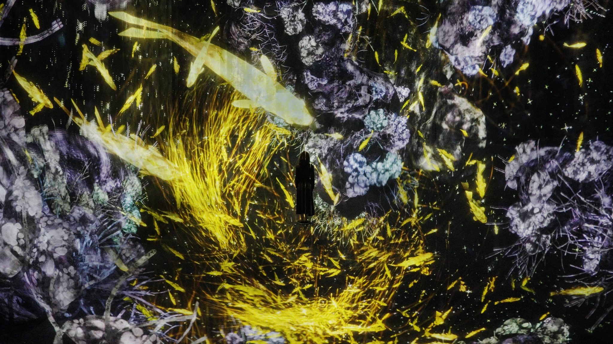 teamLab Borderless in Tokyo Unveiled in its Entirety. Opening February ...