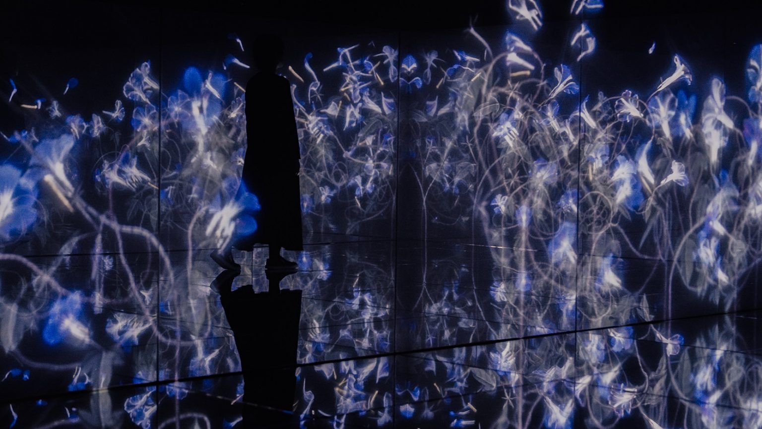 teamLab Borderless in Tokyo Unveiled in its Entirety. Opening February ...